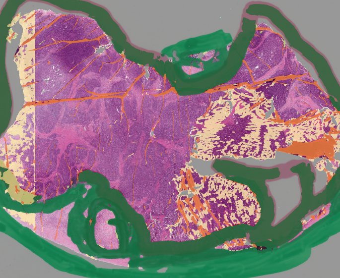 PathAI AISight® Dx Image Management System (CE-IVD marked)